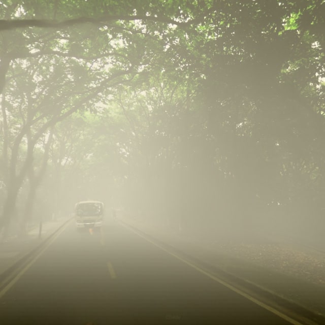 ThisClimateDoesNotExist.com